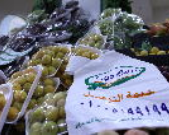 Dina Farms - Qalaa Holdings