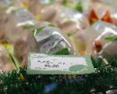 Dina Farms - Qalaa Holdings