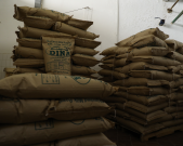 Dina Farms - Qalaa Holdings