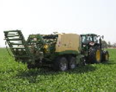 Dina Farms - Qalaa Holdings