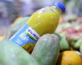 Dina Farms - Qalaa Holdings