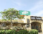Dina Farms - Qalaa Holdings